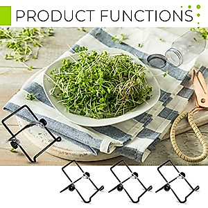 12 Pack Sprouting Stands for Wide and Regular Mouth Mason Jars Canning Jars Holder Stainless Steel Foldable Adjustable Stands for Growing Organic Sprouting