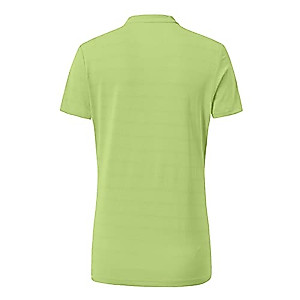 BASUDAM Women's Golf Polo Shirts V-Neck Short Sleeve Collarless Tennis Running T-Shirts Quick Dry Light Green XL