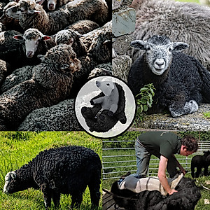 AGRIMONY Cute Shaved Black Sheep Stuffed Animals-Kawaii Lamb Plush Toys Valentines Mothers Day Birthday Easter Funny Gifts for Kids Girls Boys Teens Women Small Plushies Stuffed Sheep Plushie Decor