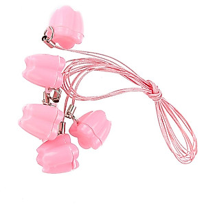 ANGGREK Milk Tooth Saver Necklaces, 5pcs Plastic Baby Milk Tooth Storage Box with Rope Tooth Saver Necklaces()