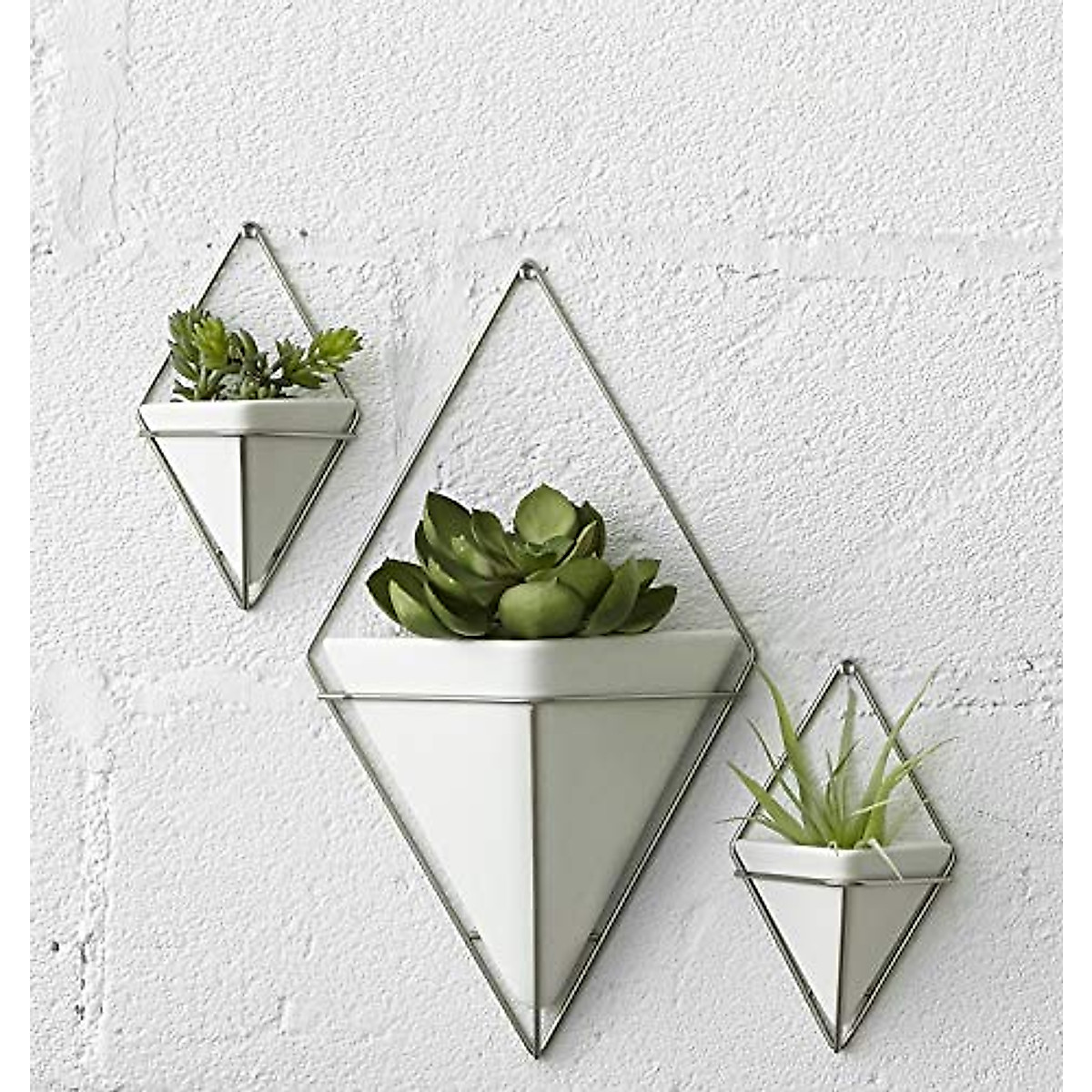 Umbra Trigg Small Wall Display, White-Nickel, Planter Pot, Indoor Outdoor Usage