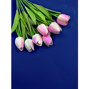 LYLYCTY 5x7ft Photography Studio Non-Woven Backdrop RoyalBlue Backdrop Solid Color Backdrop Simple Background