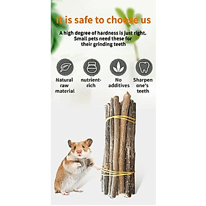 Barn Eleven 100g/0.22lb Natural Apple Sticks, Treats Food for Small Animals, Chew Toys for Chinchilla Guinea Pigs Rabbit Squirrel Hamster Bunny (100g/0.22lb)