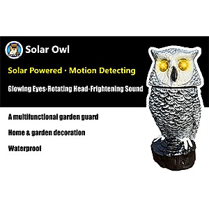 Owlery Solar Owl with Flashing Eyes, Spinning Head and Realistic Tweets, Plastic Owl Decoration for Home, Garden, Patio and Fence