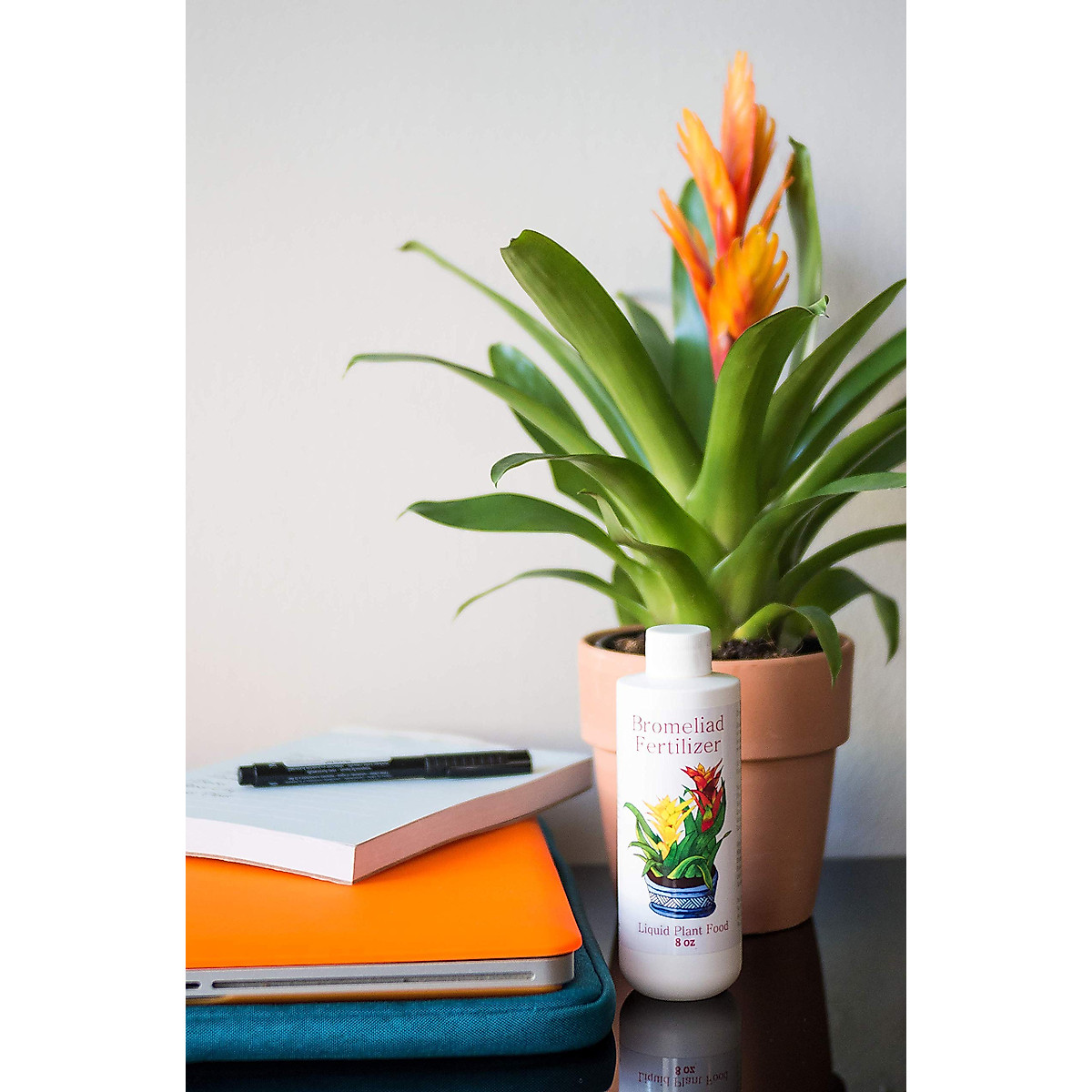 Bromeliad Fertilizer Liquid Plant Food for Bromeliads | Cryptanthus, Guzmania, Neoregelia Aechmea and Tillandsia Air, Aquatic Arts