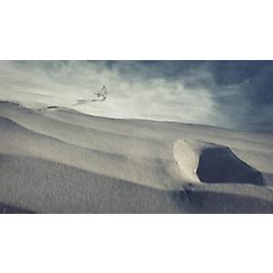 Halo 5 Guardians (Xbox One)