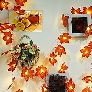 LIUPENGWEI Christmas String Lights, 3M, 20 LED Fairy Lights Theme Maple String Lights Home Decoration Fall Garden Garden Ghost Light