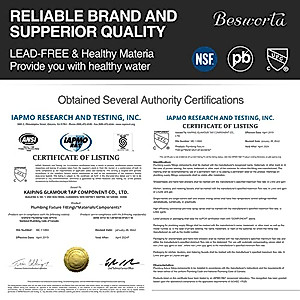 Black Single Handle Bathroom Faucet, Bathroom Sink Faucet Matte Black, SUS304 Stainless Steel Modern Single Hole Faucet for Bathroom Sink with cUPC Certified Water Supply Hoses