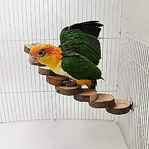 Bird Platform Perch Playground for Budgie Parakeet, Cage Natural Wood Play Stand Parrot Flat Perches for Large Birds, Birdcage Ladder Climbing Toy 8 Step
