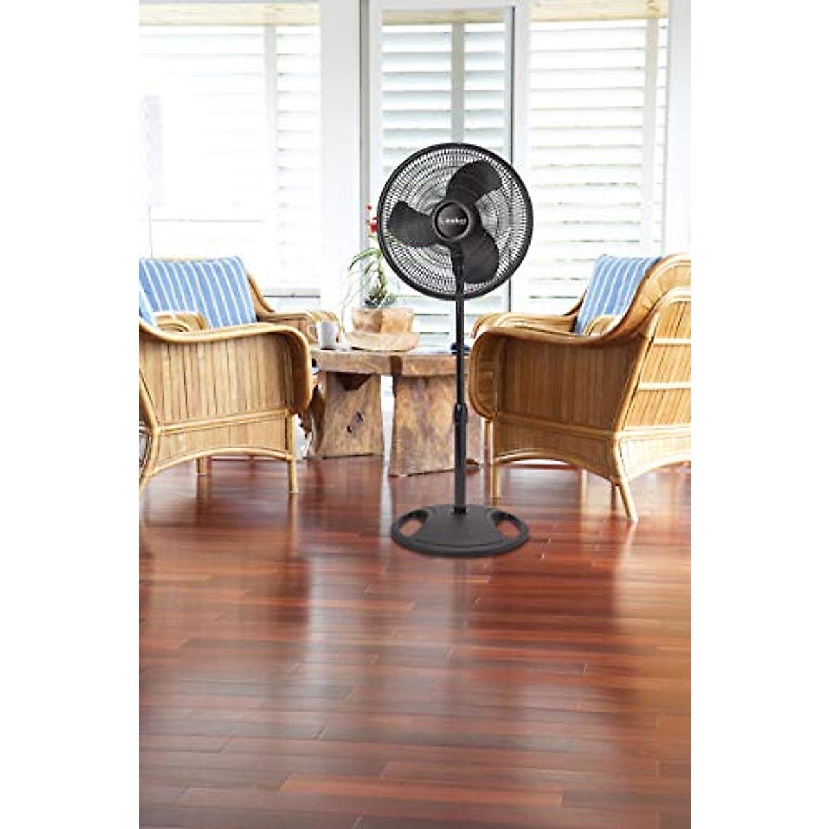 Lasko FBA_2521 Oscillating Adjustable 16-inch Standing Pedestal Fan for Indoor, Bedroom, Living Room, Home Office & College Dorm Use, 1-Pack, Black Basic