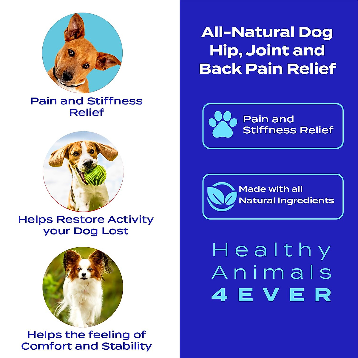 Healthy Animals 4 Ever Arthritis Remedy for Dogs - Restore Energy & Vitality - Support Hip & Joint Health - Minimize Pain - All-Natural, Non-GMO, Organic - Preservative & Chemical Free - 300 ct