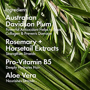 BondiBoost Heat Protectant Spray 4.23 fl oz - Thermal Hair Protection from Heat Styling - Light Weight Formula - Sulfate + Paraben Free, for Women + Men - Vegan/Cruelty-Free - Australian Made