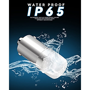 Keiurot 1820 Bulb #313 1445 1813 1816 1815 53 57 BA9S Led Bulb 10-30Volt for Train Light, Bingo Board Display, Instrument Indicator Lights, House Number Light Bulb 1818 1819 1893 White 2Pack