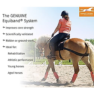 Equiband Equicore Concepts Complete System, Large Size, Oversize Horse