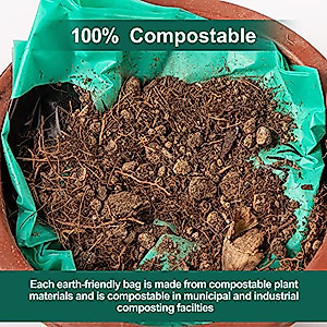 Eyliden 100% Compostable Trash Bags - 100 Count 30 Gallon(113L) Tall Kitchen Garbage Bags, Fallen Leaf Bag, Medium Wastebasket Bags for Yard Home Bedroom Office Indoor Outdoor Garbage Can