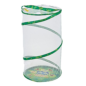 Insect Lore Butterfly Pavilion Habitat | 2 Foot Tall Clear Mesh | Pops Up Folds Flat | Zipper Top | for All Insects