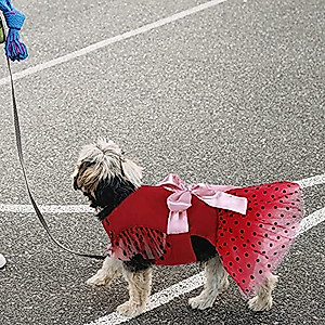 MAZORT Dog Dresses for Dogs Girl, Cute Retro Polka Dot Puppy Tutu Princess Dress, Soft Pregnant Pet Clothes with Adjustable Bowknot for Birthday Party (X-Small)