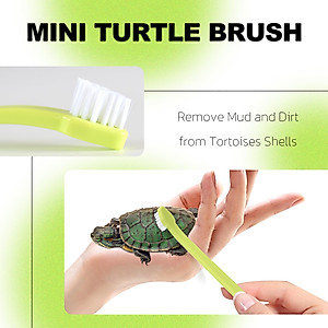 BUYBYLOV Turtle Brush with Suction Cup, Turtle Tank Accessories, Turtle Shell Cleaning Brush Set, Aquatic Tortoise Tank Supplies Toy Décor