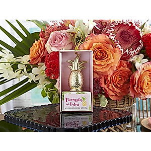 Kate Aspen Gold Pineapple Bottle Stopper, Party Favor, Wine Saver, Wedding Decoration