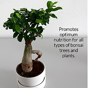 Professional Liquid Bonsai Plant Fertilizer | 3-1-2 Concentrate for Bonsai Plants and Trees | Multi-Purpose Blend & Gardening Supplies | 8 oz Bottle