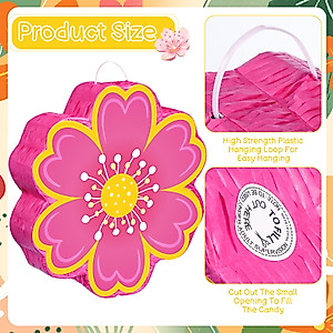 Aoriher Daisy Flower Piñata Set Include Bat Blindfold Confetti Tassel Flower Piñata Daisy Hippie Boho Piñata for Birthday Baby Shower Gender Reveal Wedding Floral Party Supplies(Pink Flower)