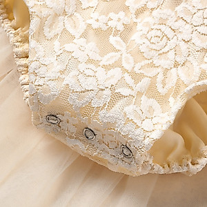 Baby Girls 1st Birthday Outfit Floral Lace Romper Ruffle Short Sleeve Backless Princess Party Tutu Dress Crown Headband Cake Smash Clothes for Photo Shoot 2Pcs Sets Beige One 12-18 Months