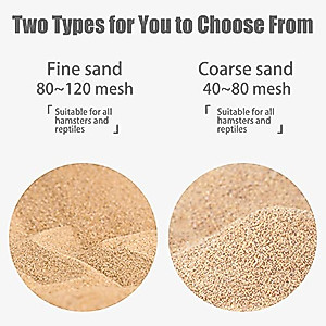 kathson Hamster Bathing Sand Natural Cleansing Dust Free Desert Sand 5.5 LB Potty Litter Sand for Small Animal Hamster Chinchilla Guinea Pig Gerbil Rat (Fine Sand (5.5 LB))