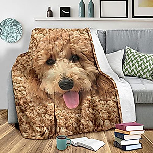 3D Cute Goldendoodle Doodle Funny Dog Mom Gift Premium Quality Sherpa Fleece Throw Blanket 3D Printed Warm Fluffy Cozy Soft Tv Bed Couch Comfy Microfiber Velvet Plush