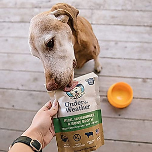 Under the Weather Easy to Digest Bland Dog Food Diet for Sick Dogs | Contains Electrolytes | Gluten Free, Freeze Dried 100% Human Grade Meats | 6 Pack - Rice, Hamburger & Bone Broth