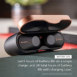 Sony WF-1000XM3 Industry Leading Noise Canceling Truly Wireless Earbuds Headset/Headphones with Alexa Voice Control And Mic For Phone Call, Silver