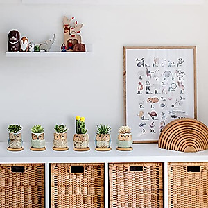 Warmplus 2.5 inch Owl Succulent Plant Pots - Mini Ceramic Planter with Drainage Hole for Mini Succulent Plants, Plants Not Included, Cute Succulent Kit 6 Pack