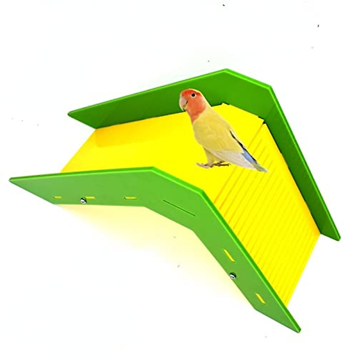 Parrot Toy Bird Intelligence Skill Training Slide Toy Parrot Educational Toys for Conures Parakeets Cockatiels