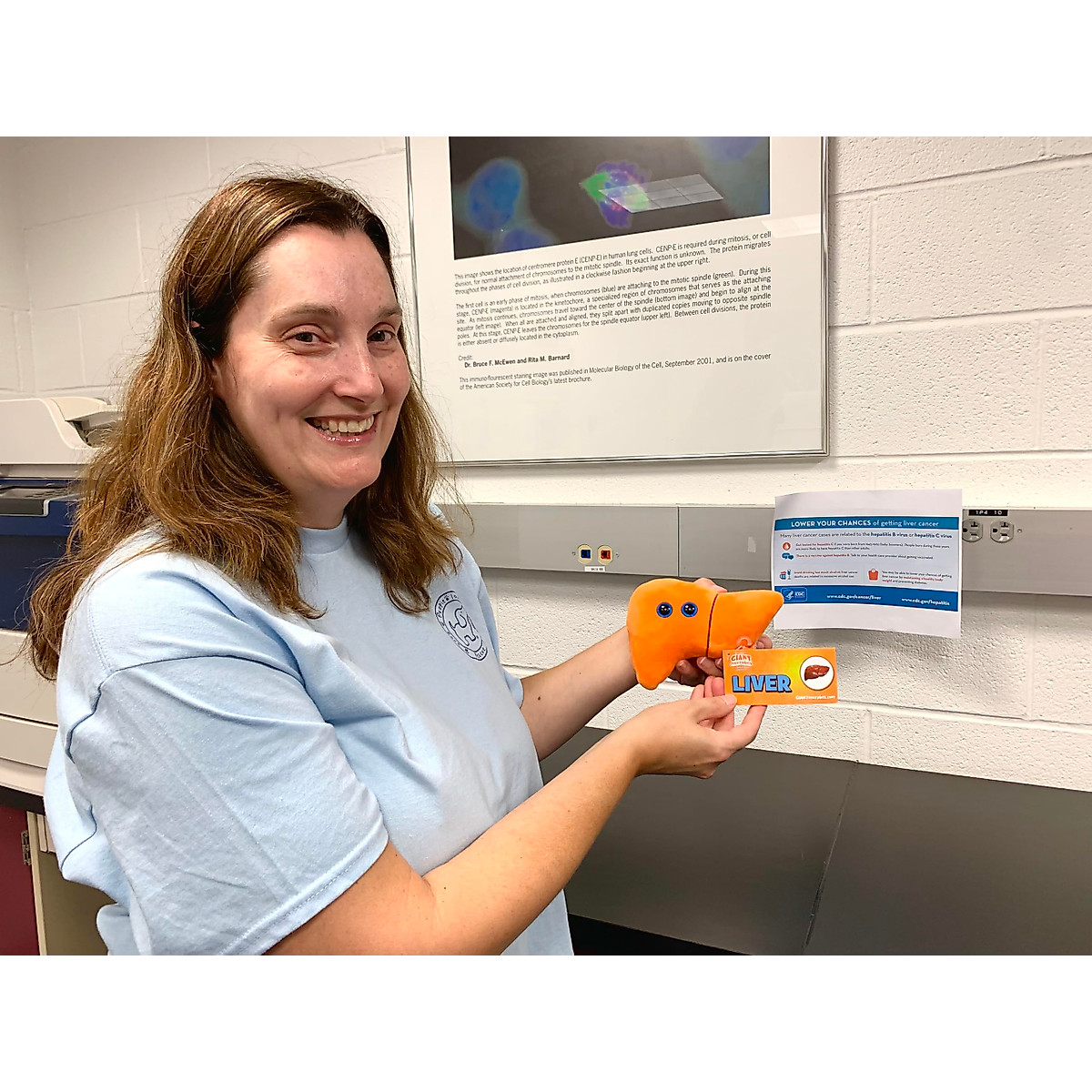 GIANTmicrobes Stuffed Liver Plush, Liver Stuffed Animal, Anatomical Liver, Hepatologist Gift, Liver Transplant Gifts, Hepatitis Gift, Hepatology Gift, Cirrhosis Gift, Liver Pillow, Liver Donor Gift