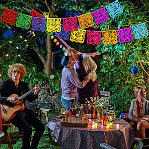 Qpout 2 Pieces Mexican Party Decorations Banners, Felt Colorful Day of the Dead Papel Picado Banner, Fiesta Birthday Baby Shower Party Decorations, Dia De Los Muertos Garland, Cinco de Mayo Flags