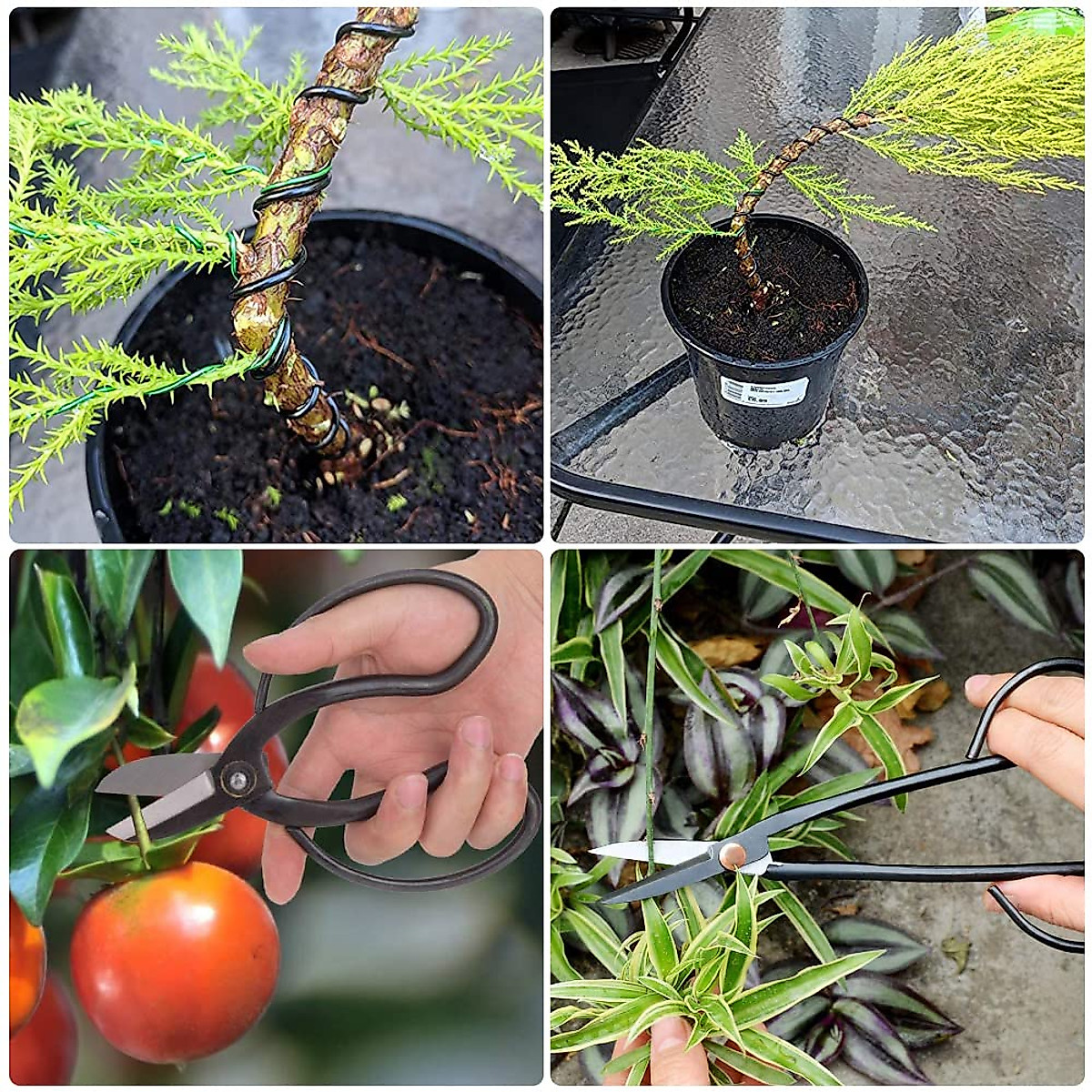 BUDDE Bonsai Tree Kit Tools Set Succulent 21 PCS Garden Hand Tool Include Pruning Shears, Carbon Steel Scissors, Perfect Starter Gardening Trimming Tools(pink), (A2ZJYYPJGJpink)