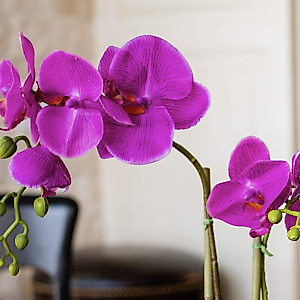 QUI-LO Perennial Gardens 18"-22" H Artificial Orchid Flowers, Fake Orchid, Artificial Orchids, Faux Orchid, Silk Orchids, Fake Flowers, Orchids Artificial Flowers (Rose)