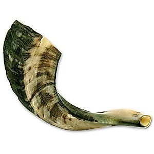 Nana Gifts Authentic Ram Horn Shofar from Israel, Clear Sound, Half Polished, 14''-16''