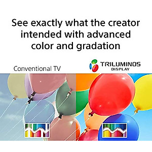 Sony XBR-48A9S 48-inch MASTER Series BRAVIA OLED 4K Smart HDR TV - 2020 Model (Renewed)