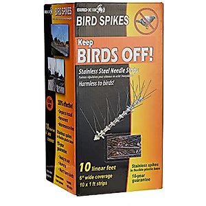 Bird-X Standard (STS-10-R) STAINLESS STEEL SPIKES-10, 10 feet