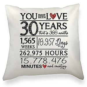 Wlesinzt 30th Birthday Decorations for Women Men Throw Pillow Covers 18X18 30th Birthday Gifts for Her Him Dirty Best Gifts for 30 Year Old Woman 30 Year Old Gift Ideas