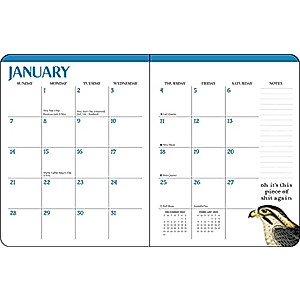 Effin' Birds 12-Month 2024 Monthly/Weekly Planner Calendar