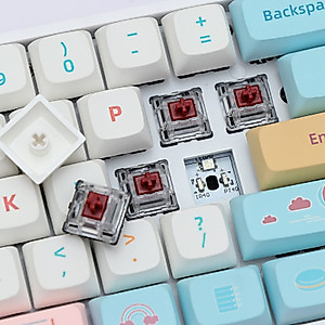 EPOMAKER SK61 61 Keys Hot Swappable Mechanical Keyboard with RGB Backlit, NKRO, IP6X Waterproof, Type-C Cable for Win/Mac/Gaming (Gateron Optical Brown, Macaron)