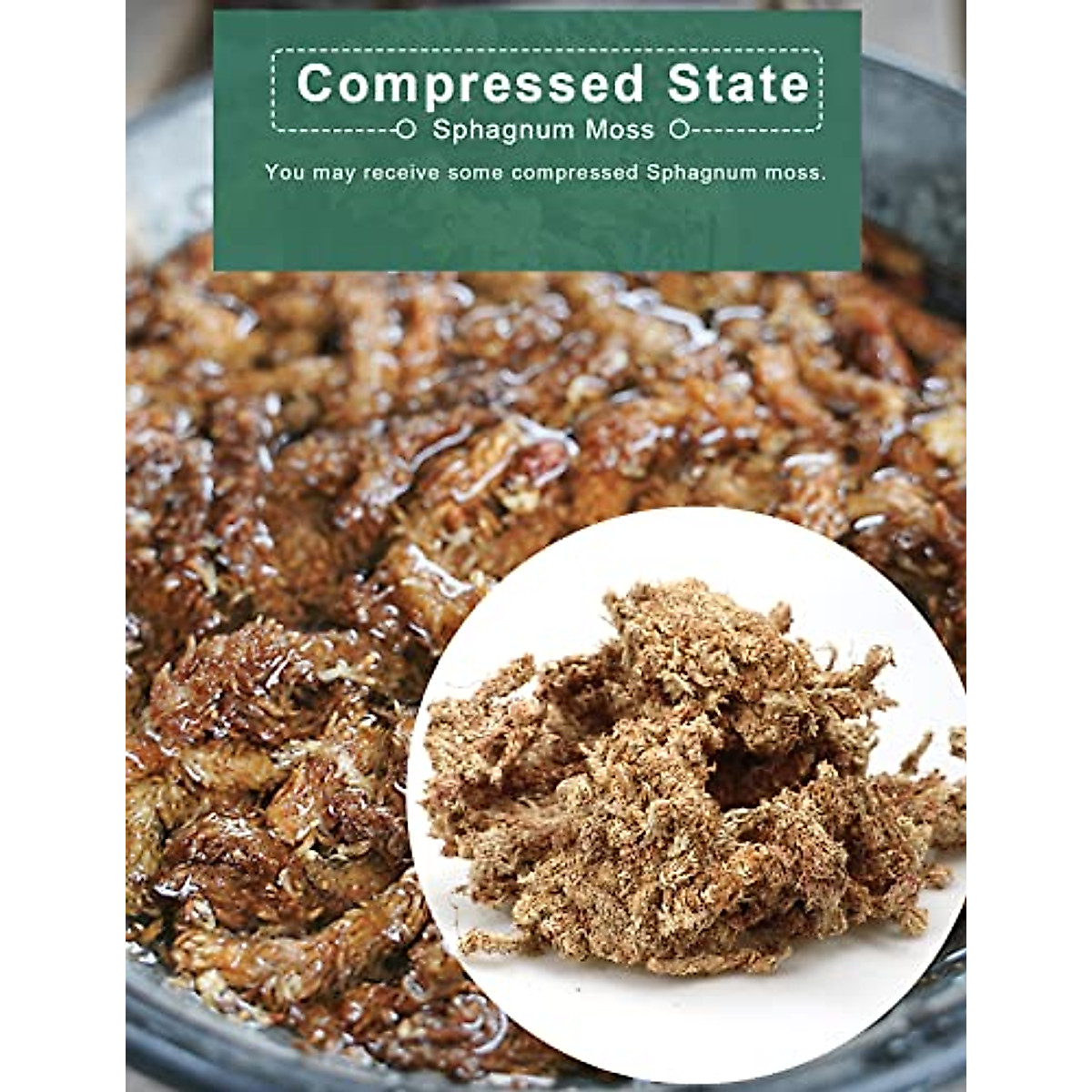 Orchid Sphagnum Moss, 2qt Succulent Dried Moss, Garden Bonsai Pot Mix, Moisture-Holding Plant Growing Medium for Flowers Plant Pot and Reptiles