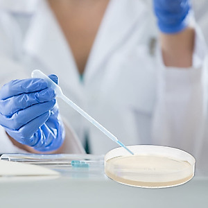 Scicalife 10pcs Plastic Petri Dishes Bioresearch Petri Dish Potato Dextrose Agar Plates Culture Dishes for Mushrooms Science Fair Projects Seeding Biological Themed Party 9cm