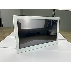 RAYPODO 17.3 inch Wall Mount PoE Tablet PC with Black or White Color (White)