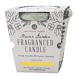 Northern Lights The Flower Garden English Daisy Candle/Planter, 12 oz