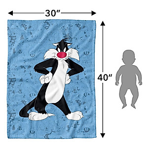 LOGOVISION Looney Tunes Lightweight Baby Blanket, 30"X40", Sylvester Character Unisex for Infants Girls & Boys