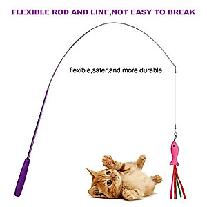 11 Pack Cat Toys Interactive Cat Feather Toys, 2 Retractable Cat Toy Wand, Variety 7 Worms and 1 Catnip Fish Teaser Refills with Bells, Kitten Toys Assortments Fun for Indoor Cats, 1 Replacement Line