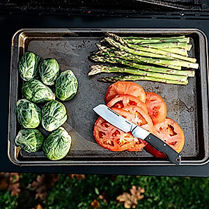 Kershaw Parley Manual Folding Pocket Knife with Cleaver Style Blade, Slipjoint Design with Nail Nick, 3.1 inch Blade and Micarta Handle, Black