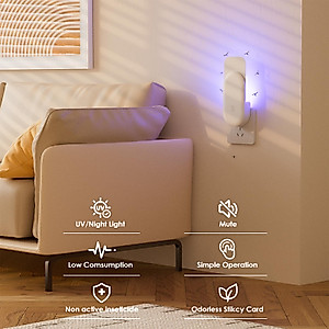 TIENBE Flying Insect Trap, 2 in 1 Indoor Plug-in Fruit Fly Trap, 1 Trap White and 6 Glue Cards, Fruit Fly Traps for Gnat, Moth, Mosquito, Suitable for Every Part of The Home